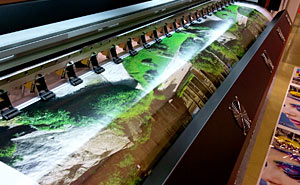 Bathurst Signs | Digital Printing